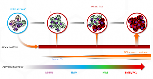 Recorded webinars – Cytognos, S.L.