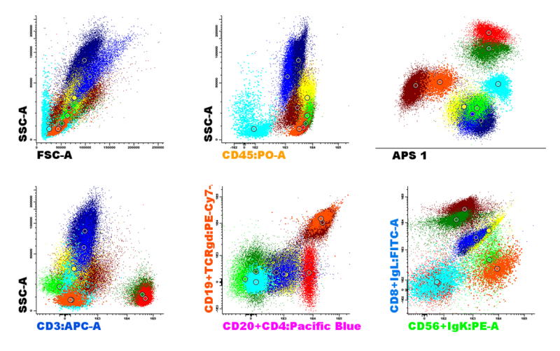Infinicyt™ Analysis – Cytognos, S.L.