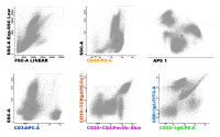Infinicyt™ Analysis – Cytognos, S.L.