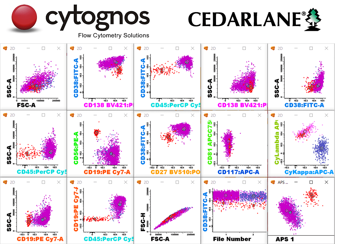 Virtual Lunch and Learn with Cedarlane and Cytognos - Monitoring ...