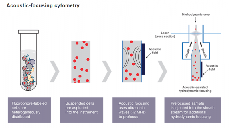 Acoustic focusing – Cytognos, S.L.