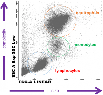 What is flow cytometry? – Cytognos, S.L.