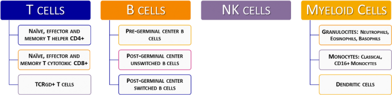 Evaluation of the disease – Cytognos, S.L.