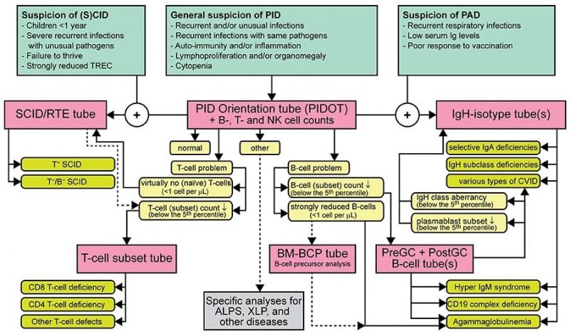 Evaluation of the disease – Cytognos, S.L.